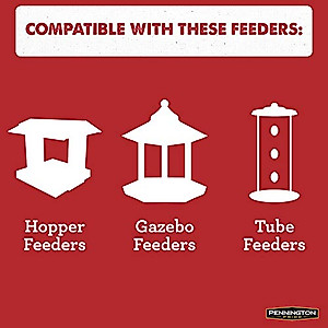 Pennington Pride Red Bird Blend Wild Bird Seed, 10 lb