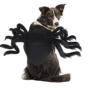 BWOGUE Halloween Pet Costume Spider Cosplay Apparel Dog Cat Spider Costume for Party Costume for Small Medium Dog Costume,Large