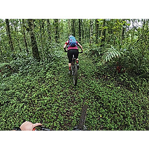 GoPro Tempered Glass Lens + Screen Protectors (HERO8 Black) - Official GoPro Accessory