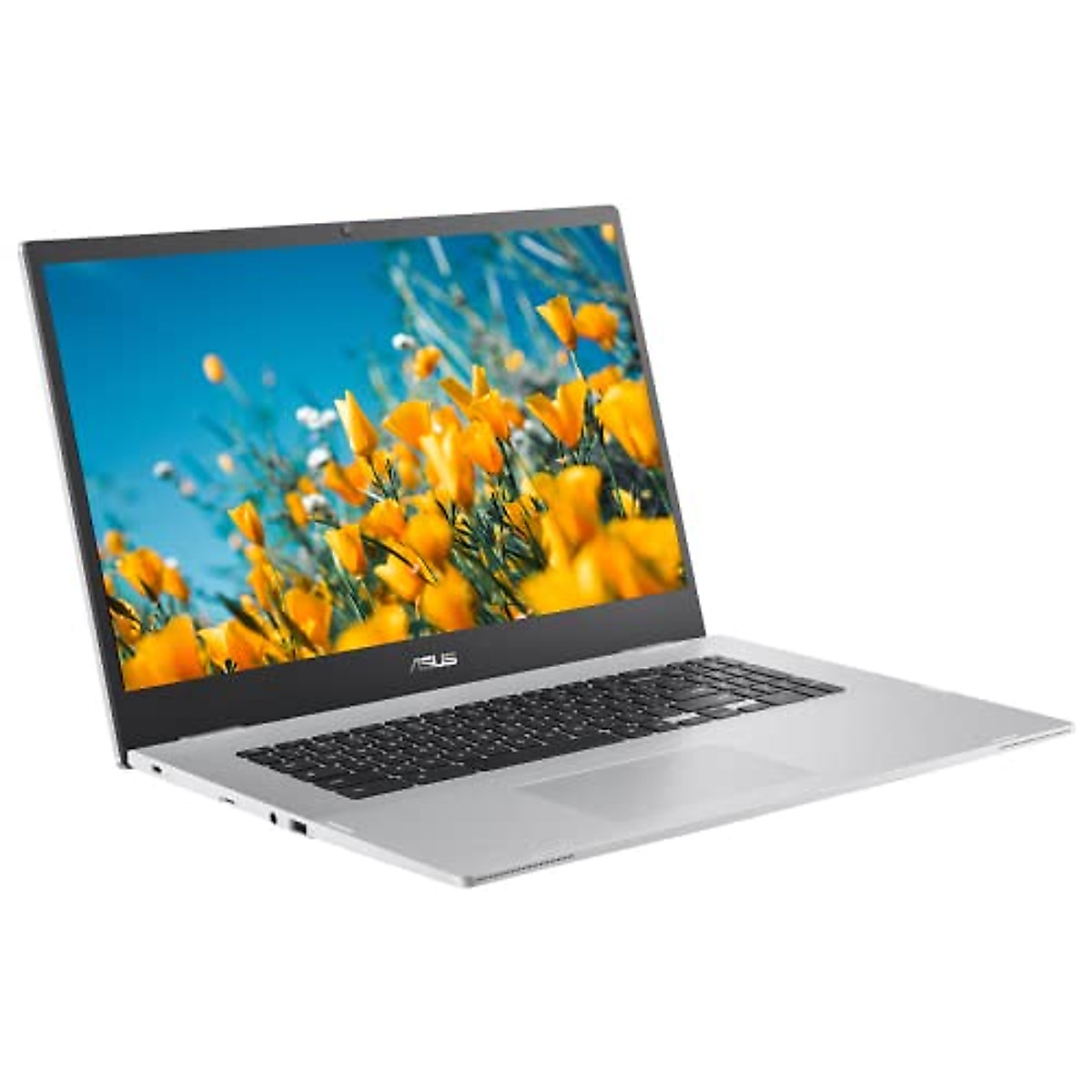 ASUS 17.3'' FHD Chromebook, Intel Celeron N4500, 4GB RAM, 64GB eMMC, Webcam, Micro SD Card Reader, Wi-Fi 6, Chrome OS, Silver,(CXB170CK)