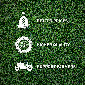 Hancock Seed Co. Ryegrass Seeds - 50 lbs.