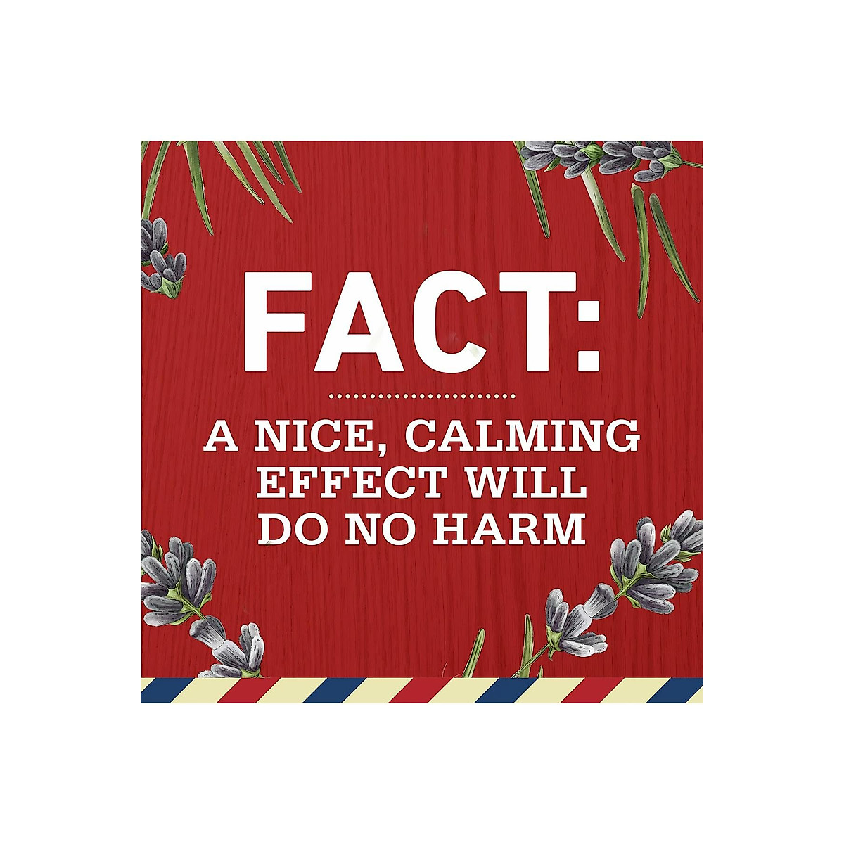 Old Spice 2 in 1 Shampoo and Conditioner, Relax with Lavender Scent, 21.9 Ounce Pump Bottle (Pack of 2)