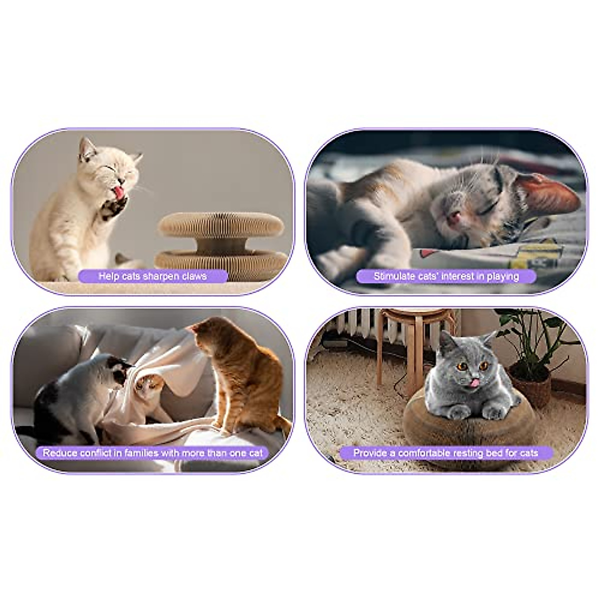 PetHse Magic Organ Cat Scratching Board, Interactive Scratch Pad Cat Toy with Toy Bell Ball