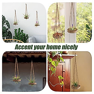 6 Pcs Hanging Wooden Air Plant Holder - 3" Round Wooden Air Plant Hanger with Jute Ropes, Rustic Air Plant Stand Tillandsia Succulent Display Container for Home Office Decor (Plants Not Included)
