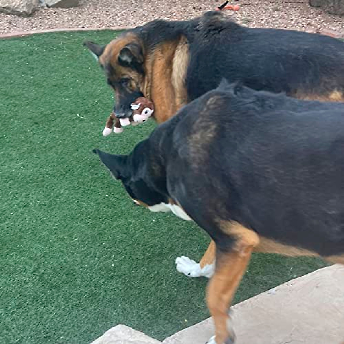 Jalousie 5 Pack Tough Plush Animal Dog Toys Assortment Value Bundle Dog Squeaky Toys Assortment Puppy Pet Mutt Dog Toy Dog Squeak Toy for Medium Large Dogs (5 Pack Dots)