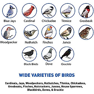 EasyGoProducts Black Oil Sunflower Bird Seed Food – Wild Birds, Cardinals, Squirrels and Much More – 25 Lbs