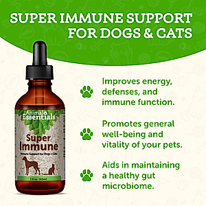 Animal Essentials Super Immune for Dogs & Cats - Immunity Support Supplement, Echinacea, Eleuthero, Olive Leaf Extract, Liquid Drops - 2 Fl Oz