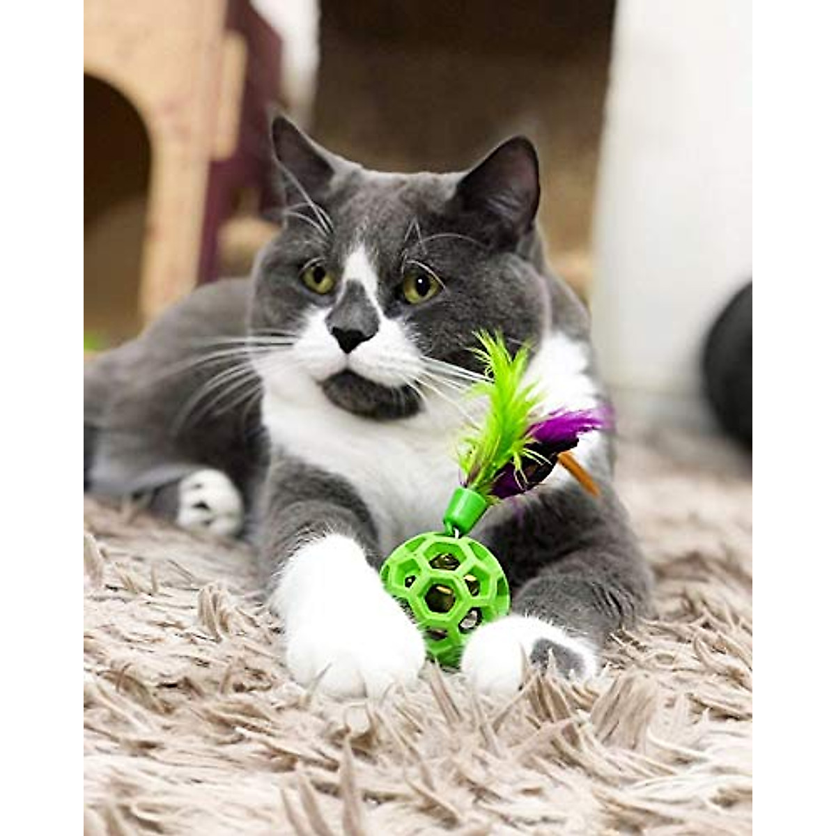 JW Pet Cataction Feather Ball with Bell, Cat Toy, Green, 1 Count (Pack of 1) (71059)