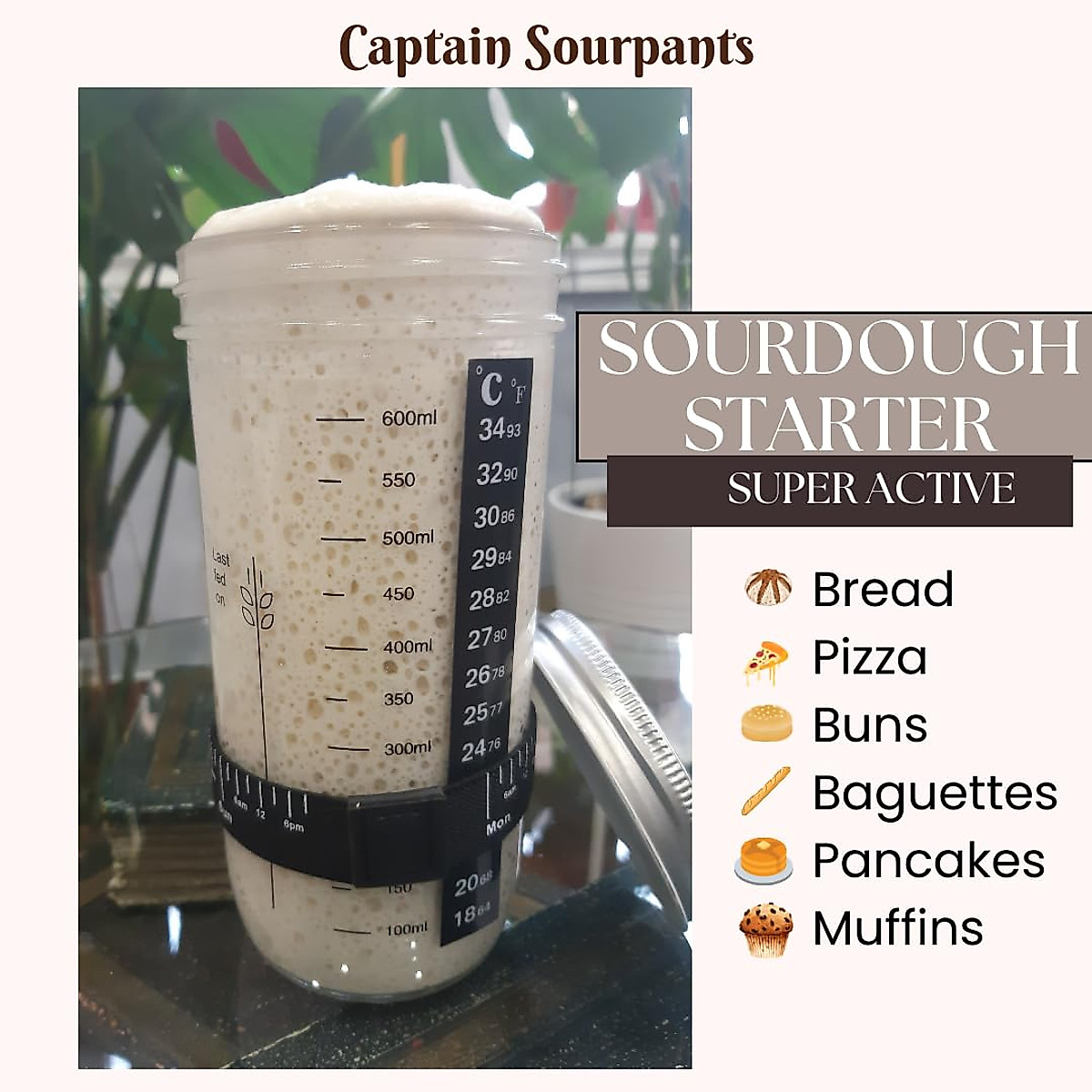 Sourdough Starter - Dehydrated Heirloom Style Sourdough Starter for Sourdough Bread, Pizza, Buns, Pancakes, Muffins | Easy to follow instructions. By Captain Sourpants