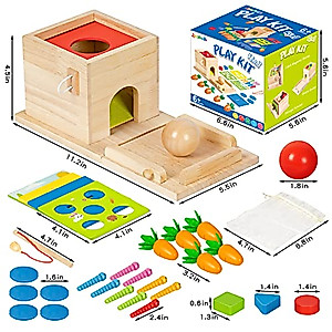 5-in-1 Wooden Play Kit Montessori Toy - Object Permanence Box, Coin Box, Carrot Harvest, Catch Worm, Shape Sorter - Toddler Learning Toy for Kid Age 1, 2, 3 Year Old, Girl boy Gift for Baby 6-12 Month