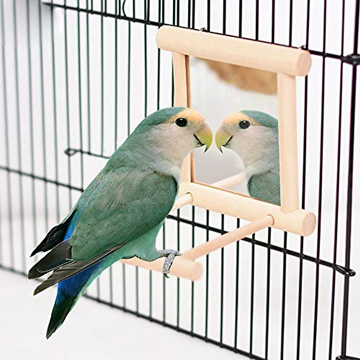 HANZE Bird Mirror with Swing Hummingbird Swing Bird Perches for Parrots Stand Wooden Swing Toy for Macaws Lovebird Cockatoo Parakeet Conure Finch Cockatiels,4 Pack
