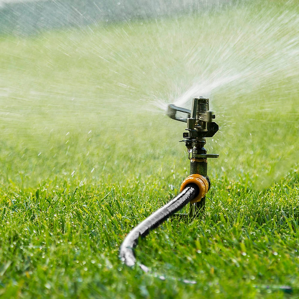 Worth Garden Short Black Garden Hose 3/4 in. x 6 ft. No leak, Durable and Lightweight PVC Water Hose with Solid Aluminum Hose Fittings, Male to Female Fittings, 8 YEARS WARRANTY