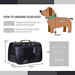 Petper CW-125 Cat Carrier PU Leather Pet Carrier Designed for Cats, Small Dogs, Kittens, Puppies Pet Travel Carrying Handbag for Outdoor Travel Walking Hiking, Black