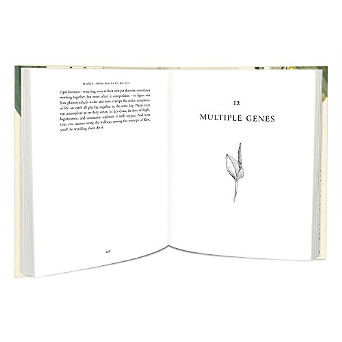 Plants: From Roots to Riches