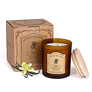 Vanilla Scented Candles for Home, All Natural Soy Wax Candles with Essential Oils, Highly Scented Beeswax Candles, Aromatherapy Candles for Sleep Aid, 9.2oz, Clean Burning(Vanilla, Coconut)