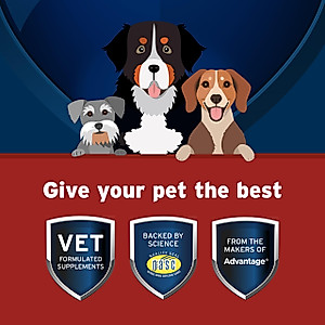 Pet Protect from The Makers of Advantage Vet-Formulated Hip & Joint+ Supplement for Dogs | 60 Chews