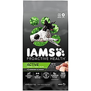 Iams Proactive Health Adult Active Dry Dog Food with Chicken and Turkey, 6 lb. Bag