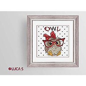 Cross Stitch Kit Luca-S - The Owl with Glasses, B1403