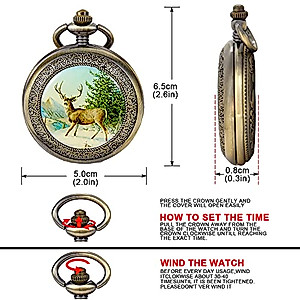 Alwesam Luxury Two Sub-dials Mechanical Pocket Watch Hand Winding Bronze Alloy Skeleton Back with Chain Retro Roman Numeral Clock…