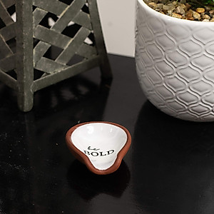 Be Bold Glossy Brown 2 x 3 Terra Cotta Decorative Countertop Spoon Rest