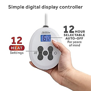 Sunbeam Royal Posh Champagne Heated Blanket - King