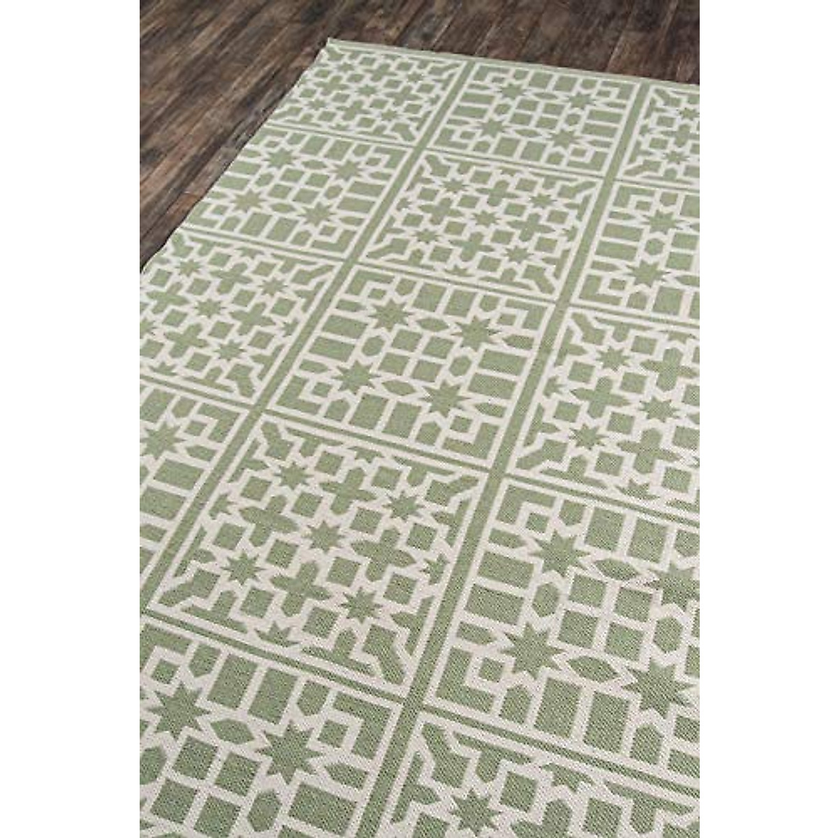 Madcap Cottage Palm Beach Lake Trail Area, Indoor Outdoor Rug, 2' X 3', Green