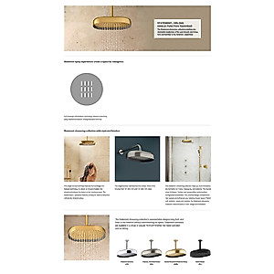 STATEMENT™ 1F 12" OBLG RAINHEAD G