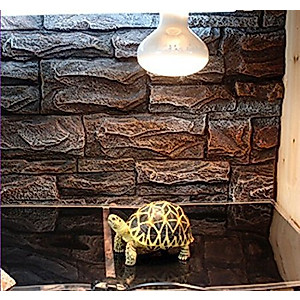 Giveme5 Upgrade US Plug 110V Reptile Heating Pad Reptile Under Tank Warmer Mat Heat Mat with Temperature Controller (7W 5.9x11)