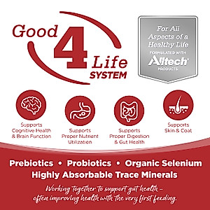 Nutri Source Pure Vita Grain Free Beef & Red Lentils, 25-Pound