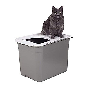 Petmate Top Entry Litter Cat Litter Box With Filter Lid To Clean Paws