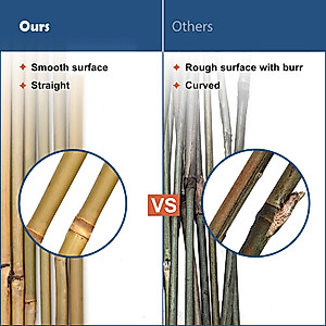 COLOtime Bamboo Stakes 4FT Garden Stakes Plant Stakes for Indoor and Outdoor Climbing Plants Poles Sticks Support Tomatoes Eggplants Beans 25 Pack