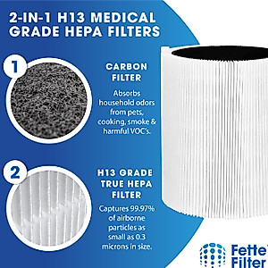 Fette Filter - 311 Air Purifier Replacement Filters, Compatible with Blueair Pure 311 High-efficiency 2-in-1 Filtration Systems, Particle Filter + Carbon Filter (Pack of 2)