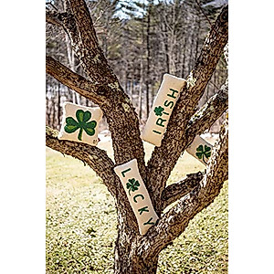 Chandler 4 Corners Artist-Designed Irish Clover Hand-Hooked Wool Decorative Throw Pillow (8” x 24”) St Patrick's Pillow for Couches & Beds-Easy Care, Low Maintenance St Patty's Day Shamrock Pillow