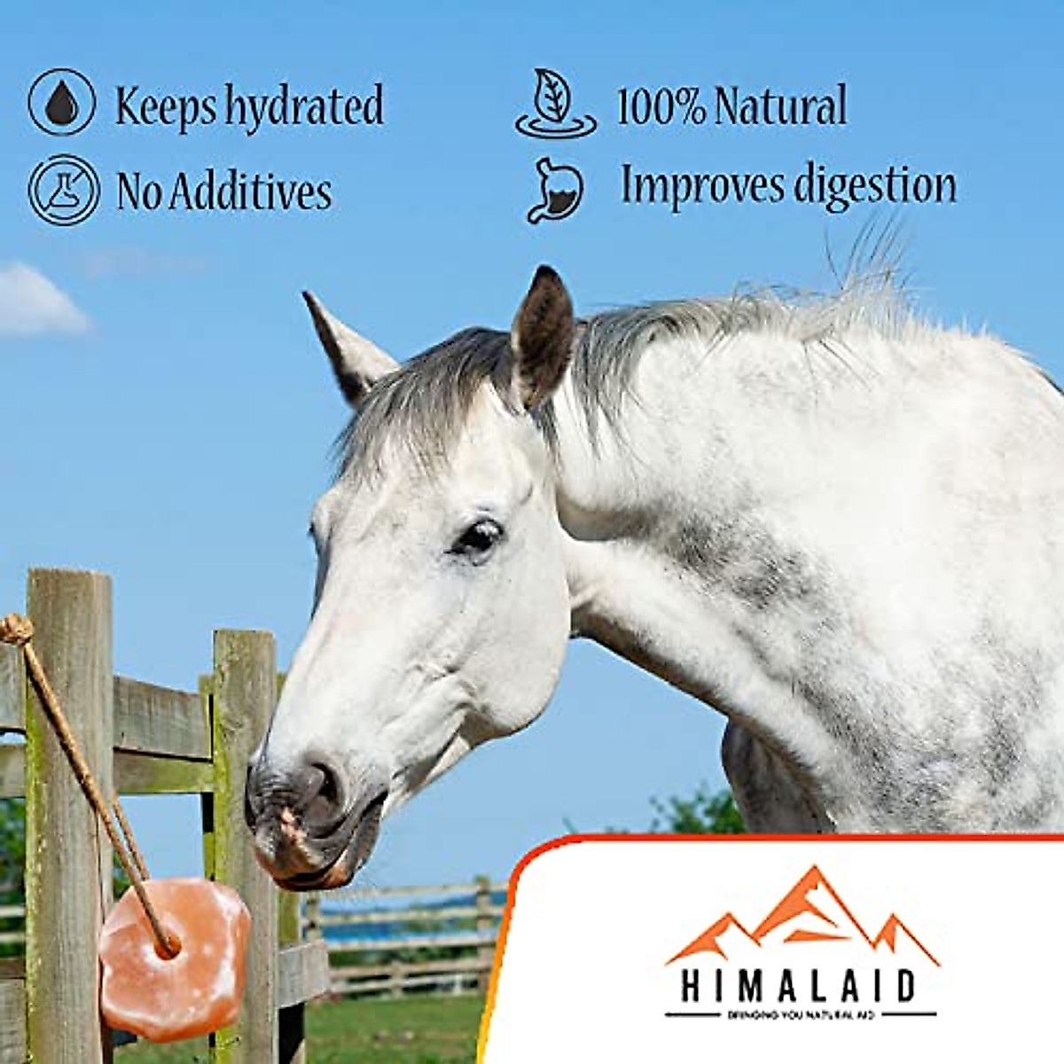 Himalaid Himalayan Salt Lick on Rope for Horses, Cattles, and Other Livestock, 6 LBS Each (3 Pack)
