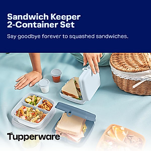 Tupperware Sandwich Keeper 2-Container Set - Dishwasher Safe & BPA Free Container (2 Hinged Containers)
