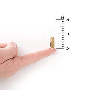 Garden of Life Prenatal Multivitamin for Women with Iron, Folate & Vitamin C and D3 for Neural Development & Probiotics for Immune Support – Vitamin Code – Non-GMO, Gluten-Free, Kosher, 30 Day Supply