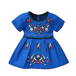 Aalizzwell Infant Baby Girl Embroidered Dress Ethnic Wear Short Sleeve Sundress Blue 6-12 Months