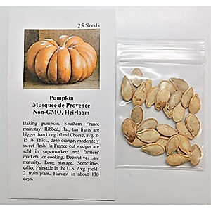 David's Garden Seeds Pumpkin Musquee de Provence FBA-2621 (Orange) 25 Non-GMO, Heirloom Seeds