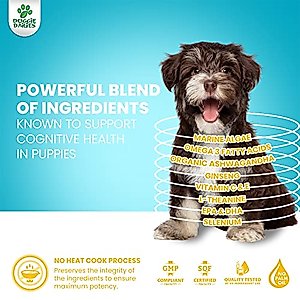 Doggie Dailies Cognitive Puppy Chews | Puppy Vitamins with DHA, Selenium, Organic Ashwagandha & Antioxidants to Support Brain Health, Nervous System Function & Promote Calmness | 120 Soft Chews
