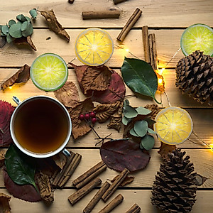 SNAIL GARDEN 30Pcs Artificial Lemon Slices Blocks, 20Pcs Simulation Lemon Slice+10Pcs Fake Lemon Block-Double Side Decorative Fake Fruit Model for Lemon Party Decor Vase Filler Tumbler Topper DIY