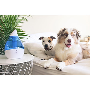 Crane Droplet Ultrasonic Small Air Humidifiers for Bedroom and Office, 0.5 Gallon Cool Mist Humidifier for Plants and Home, Humidifier Filters Optional, Blue and White