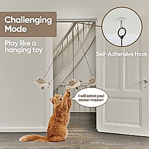 PETFUTURE Cat Toys for Indoor Cats, Rechargeable Interactive cat Toys with Catnip and Beating Wings, Chirping Cat Toys for Bored Cats, Flapping Mouse Kitten Toys for Cat Birthday Gift