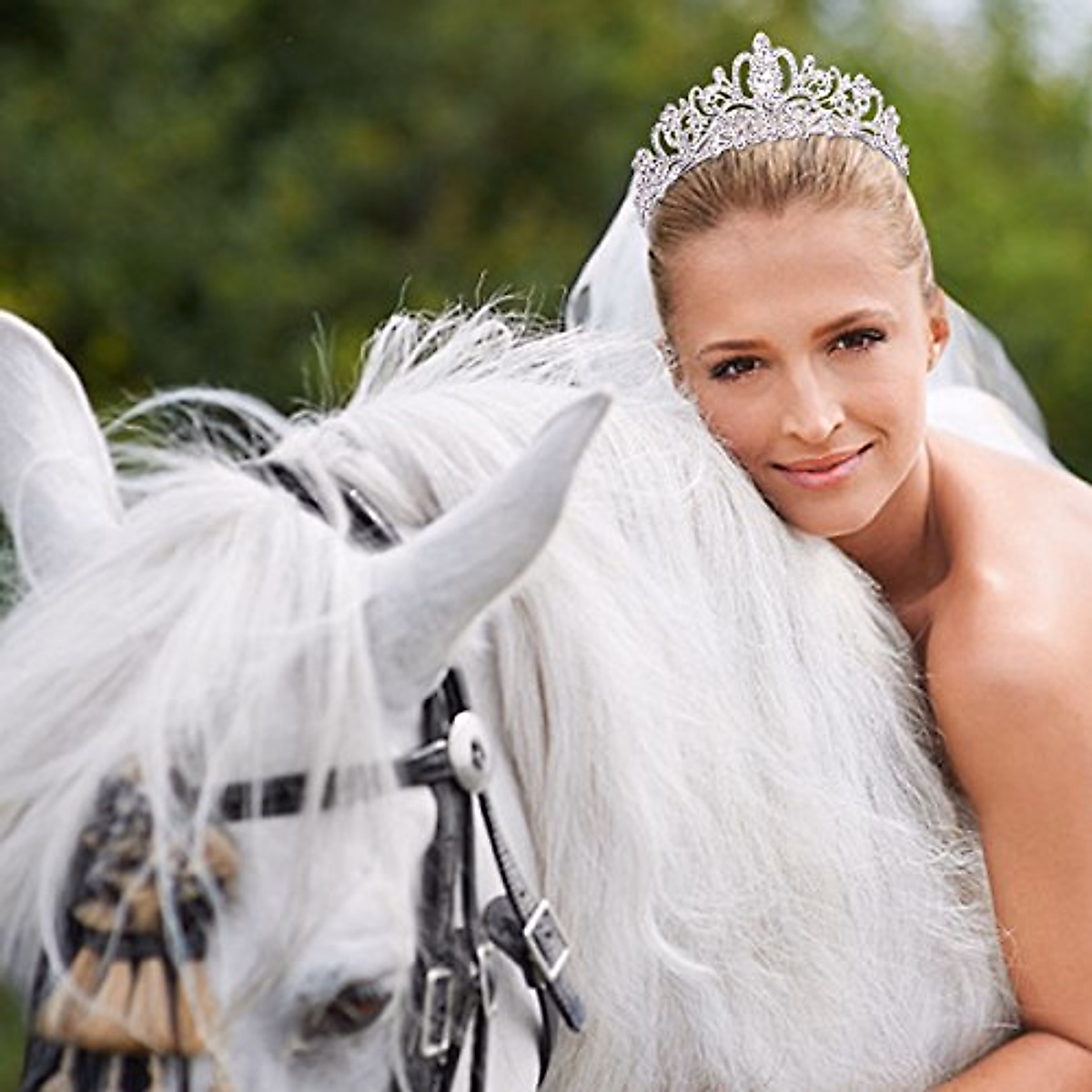 Didder Silver Crystal Tiara Crown Headband Princess Elegant Crown with combs for Women Girls Bridal Wedding Prom Birthday Party