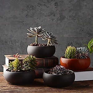 Zerodeko Small Terrarium Purple Sand Succulent Flower Pot Pet Decorations Purple