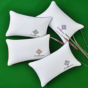 Cieltown Throw Pillows for Couch 12x20 Pillow Inserts Set of 2 White Euro Square Decorative Pillows for Bed Sofa Living Room Cojines Decorativos para Sala Cama (Champagne, 12 x 20 Inch Pack of 2)