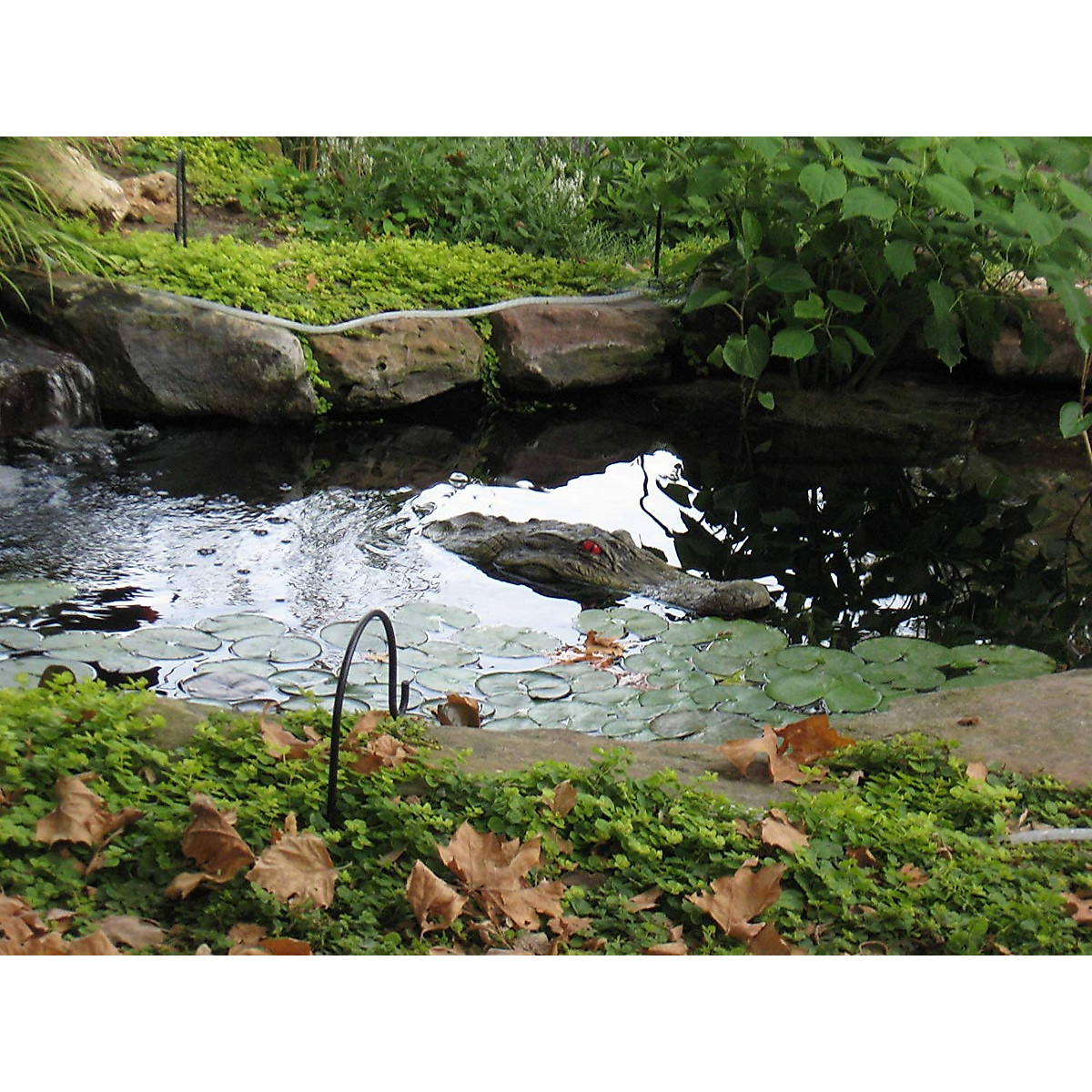 TJB-INC 22" Alligator Head Decoy & Pond Float with Reflective Eyes for Canada Geese & Blue Heron Control