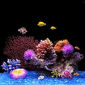 Danmu 1pc of Polyresin Coral Ornaments, Aquarium Coral Decor 2 7/10" x 2 7/10" x 1 9/10" for Fish Tank Aquarium Decoration