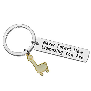 Baipilu Llama Keychain Llama Gift Never Forget How Llamazing You are Keychain for Women Alpaca Gifts Animal Lover Gift Inspiring Inspired Motivational Keychains for Women,birthday gift for friends