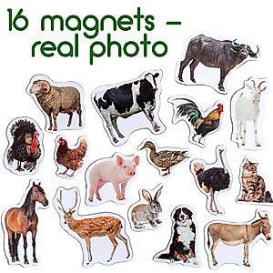 16 Fridge Magnets for Toddlers Magdum - Farm Photo Kids Magnets for Fridge - Toddler Magnets for Refrigerator - Magnetic Animals - Fridge Magnets for Kids - Animal Magnets - Toddler Fridge Magnets