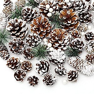 Whaline 170Pcs Christmas Pine Cones Berry Pine Branch Set Snow Pinecones Pendant White Winter Holiday Ornament for DIY Crafts Home Decorations Xmas Tree Gift Tag Party Supplies, Assorted Sizes